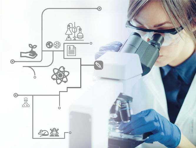 2025/3 - Sistemática Vegetal - EAD.2 | UNISA